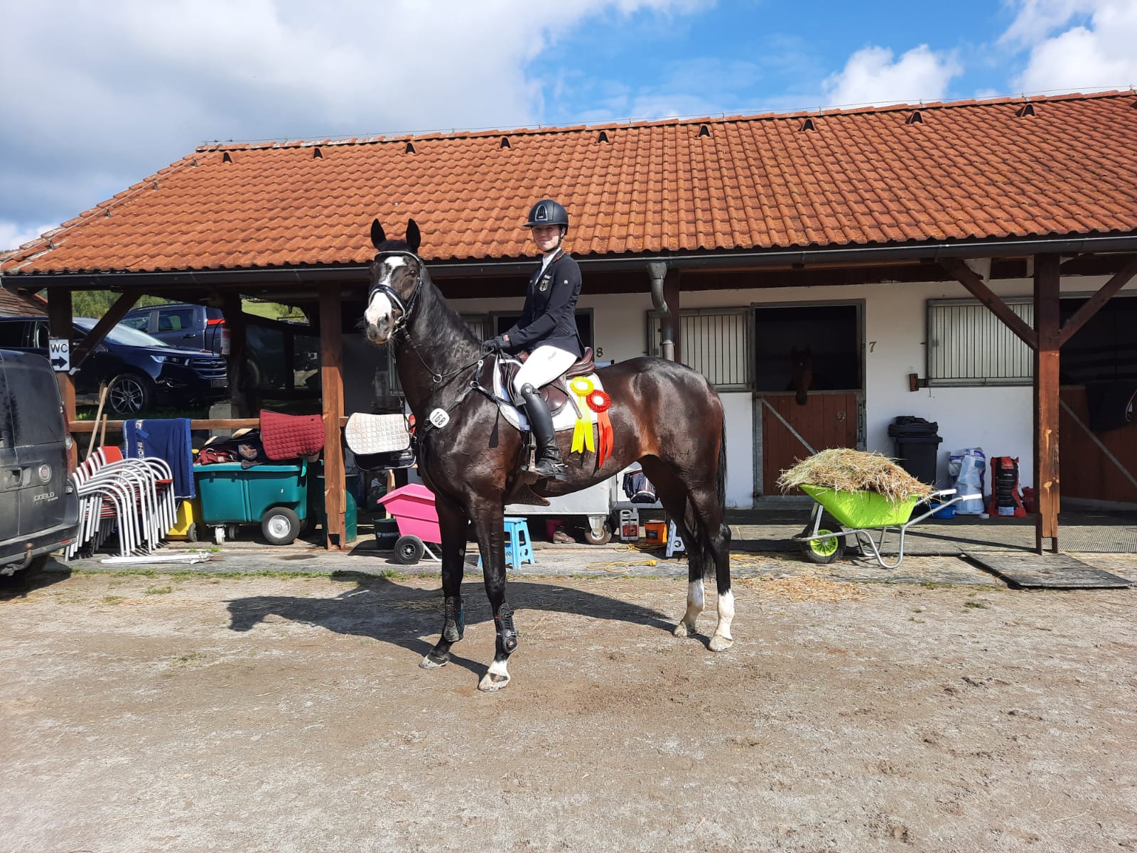Borova (CZE): Hannes Mergler mit Doppelsieg im CCI3*-S, Anna Vogel ...