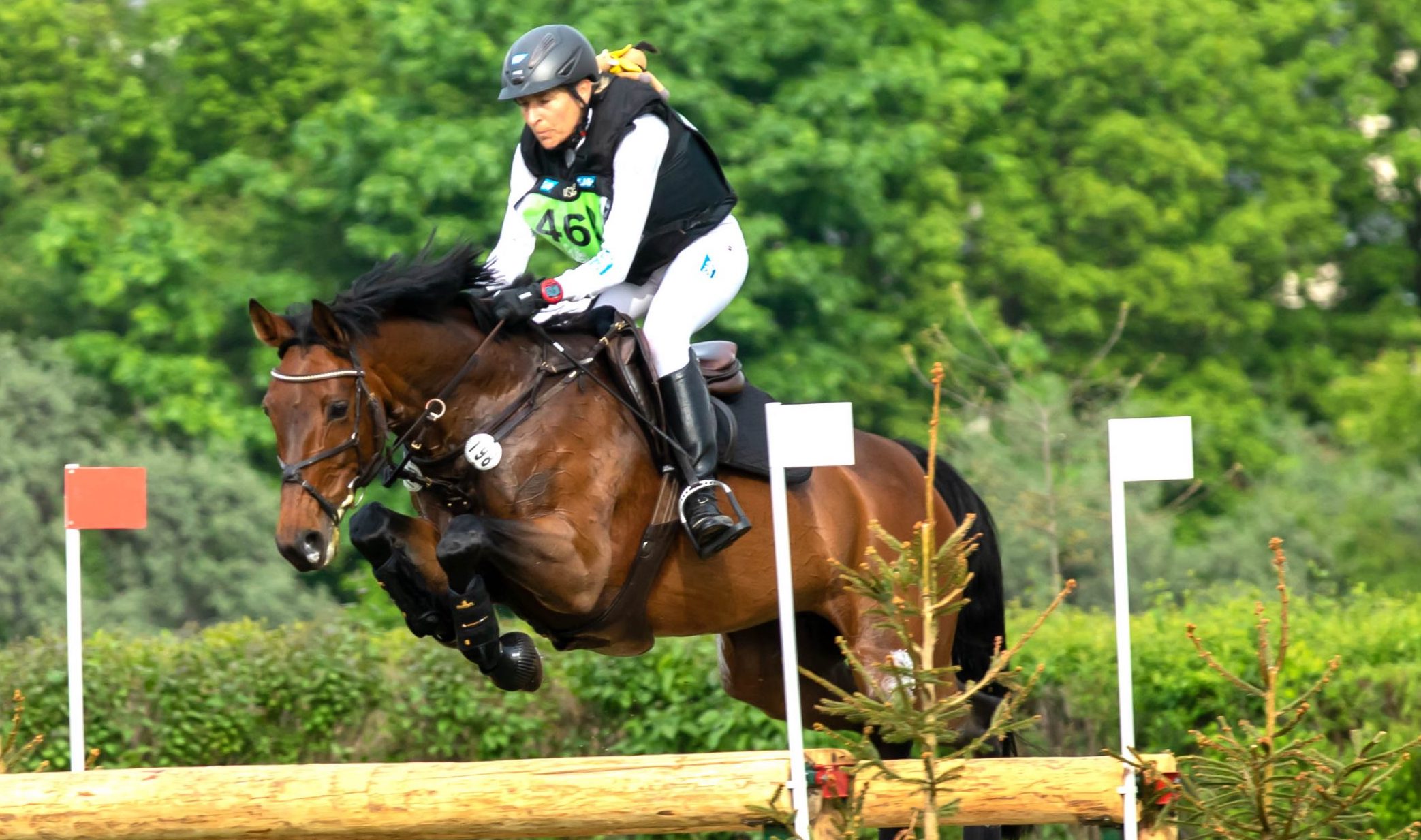 Ingrid Klimke und EQUISTROs Siena Just Do It siegen beim Indoor ...